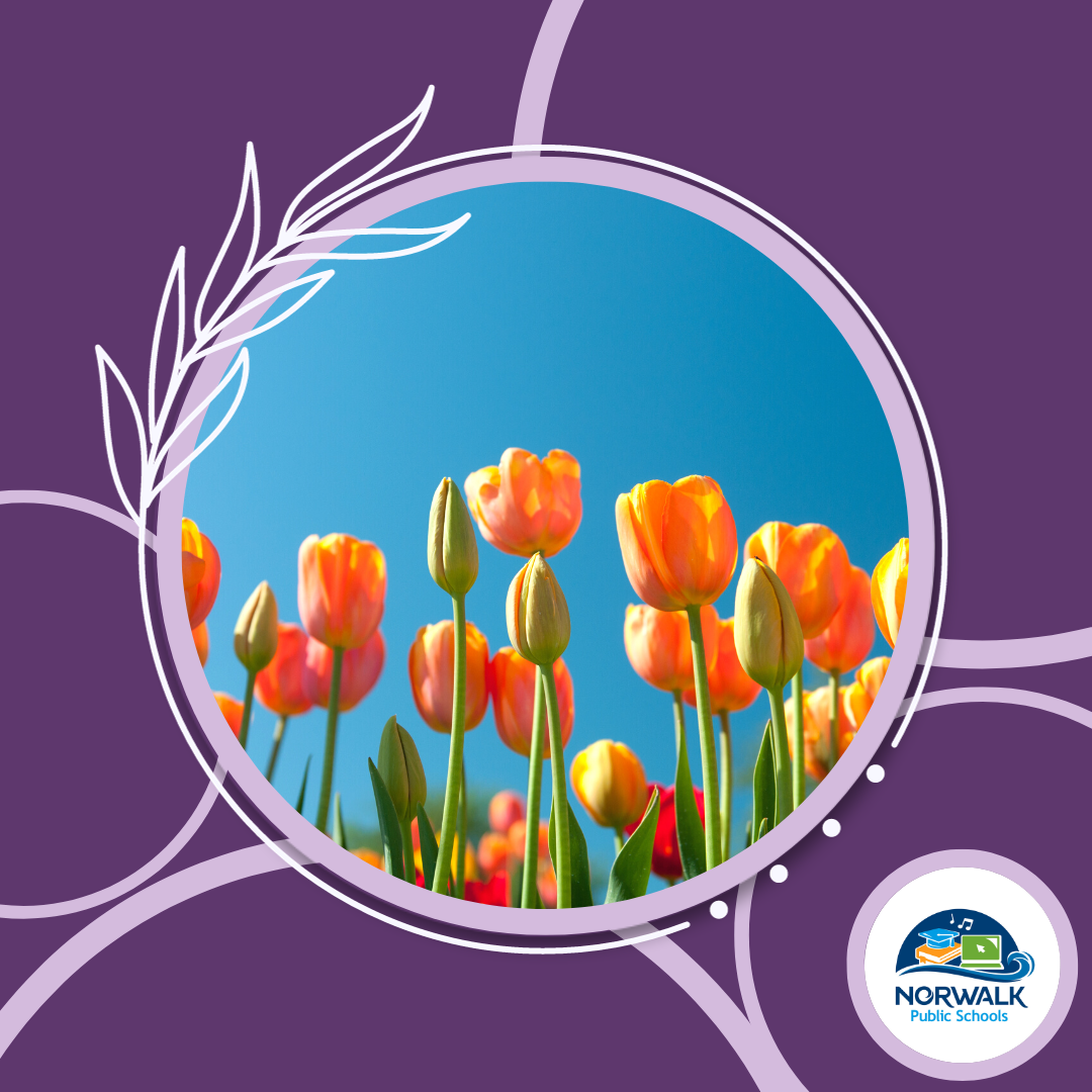 Enjoy the Spring Recess! | Desk of Dr. Estrella