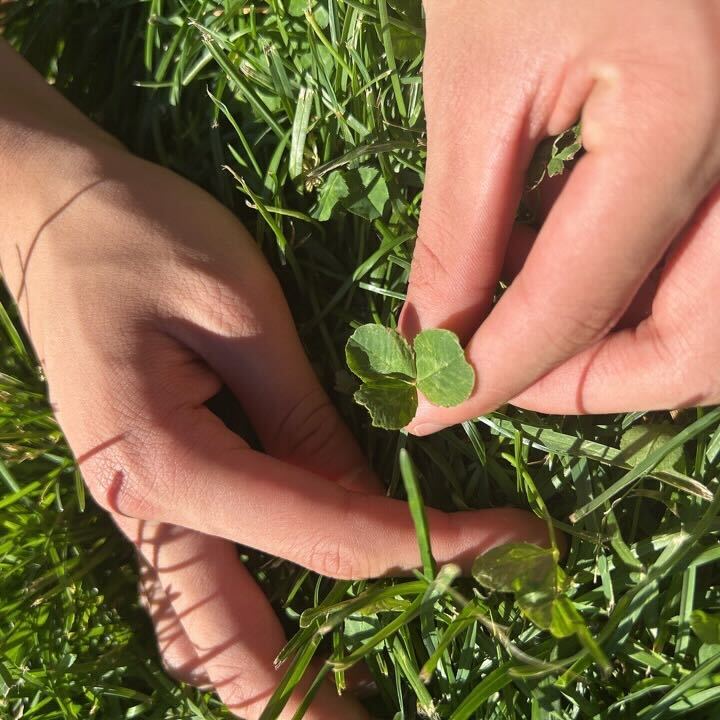 AP Environmental Science students participate in Scavenger Hunt | News ...