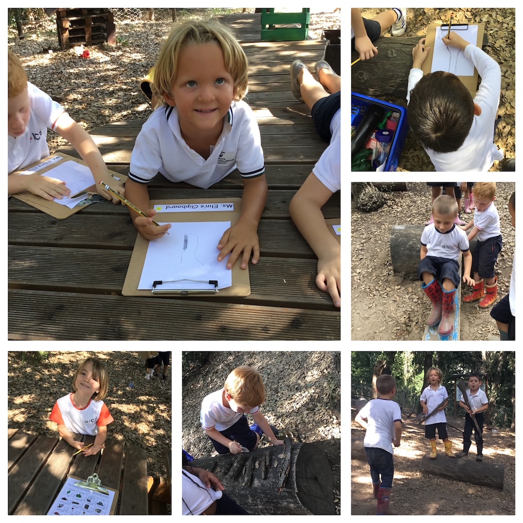Year 1 Tigers Show How Learning Outdoors Enhances Skills | Latest news