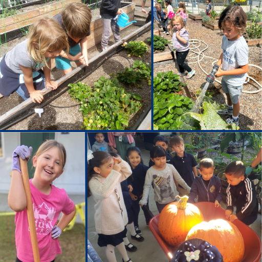 Students Learn About More Than Just Plants in School Gardens | Details