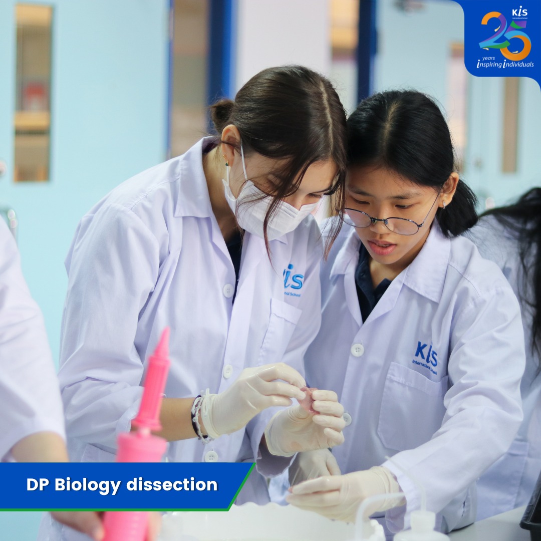 Hands-on Science Experiments | News Template