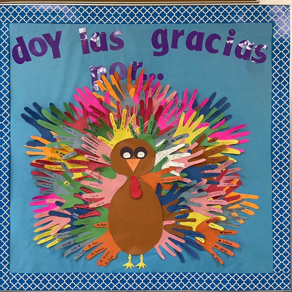 Turkey Feathers | Newsletter Details