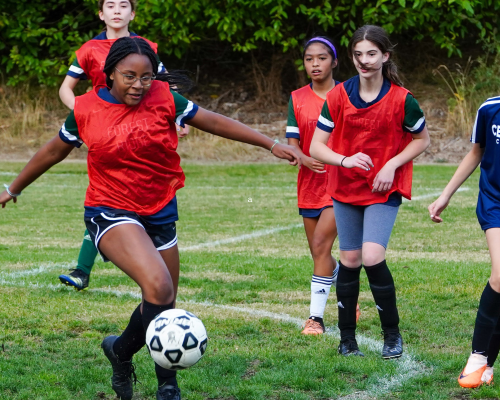 Ravens Rise: A Fall Sports Recap | Forest Ridge Blog | Bellevue Private ...