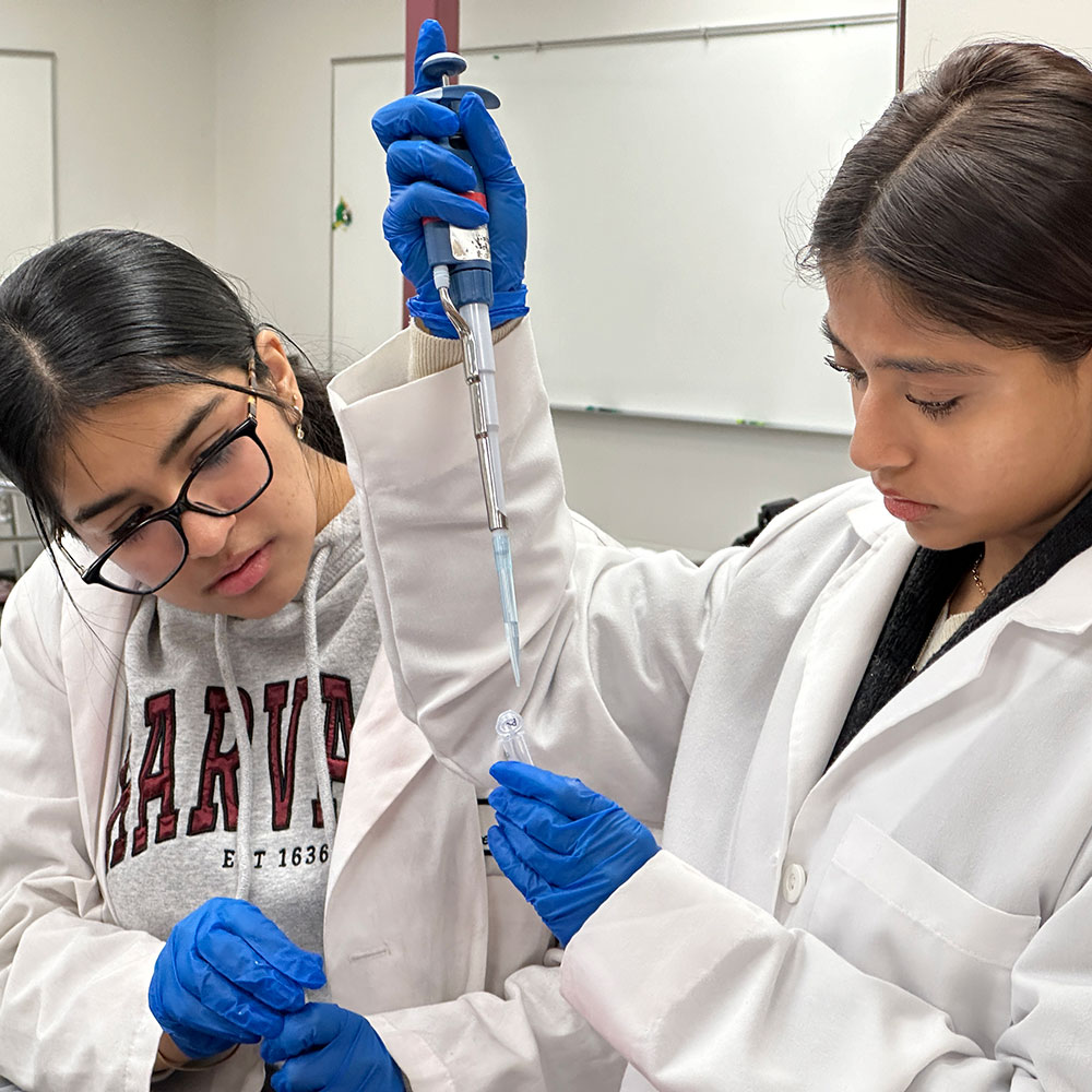 Biotech Students Use Cutting-Edge CRISPR Gene Editing Technique ...