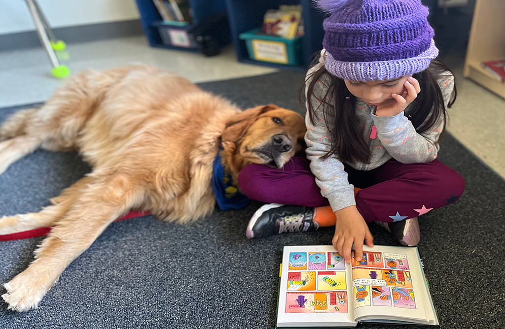 Canine Companions: Meet Four Therapy Dogs Providing Comfort, Engagement ...