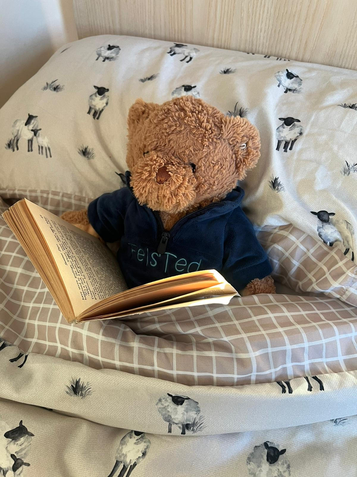 Hamilton House News - Welcome Back! (Week 1 - Spring Term 2024) | Posts ...