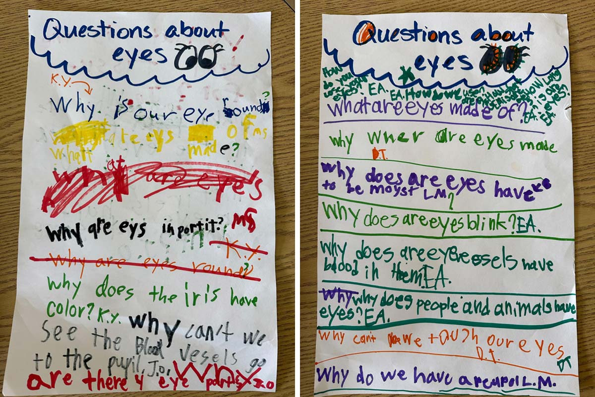 Questions About the Eyes | Blog Details