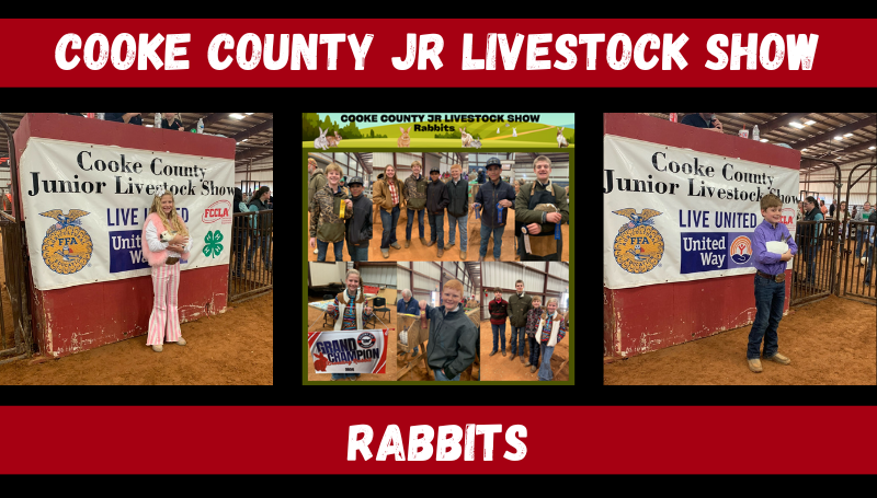 Cooke County Junior Livestock Show - Rabbits | Post Details