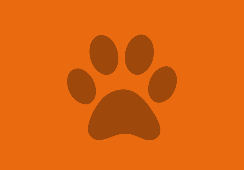 Individual Career and Academic Path (ICAP) | RSD