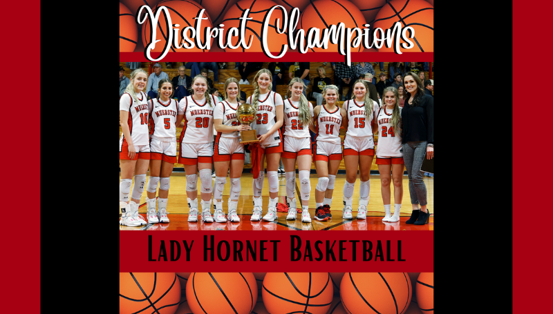 Congratulations to Lady Hornet Basketball - District Champions! | Post ...