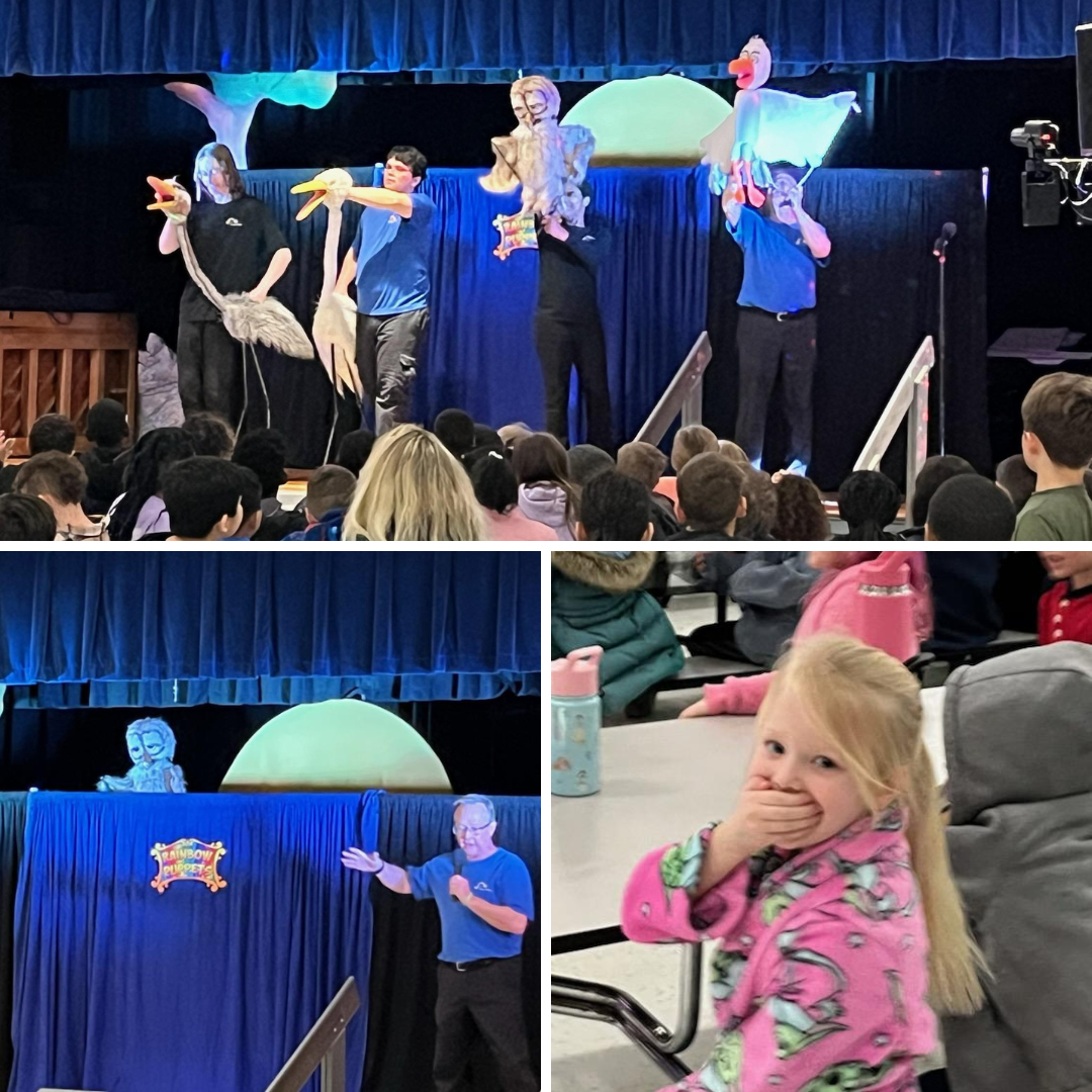 Welcome Rainbow Puppet Theatre | Post Details