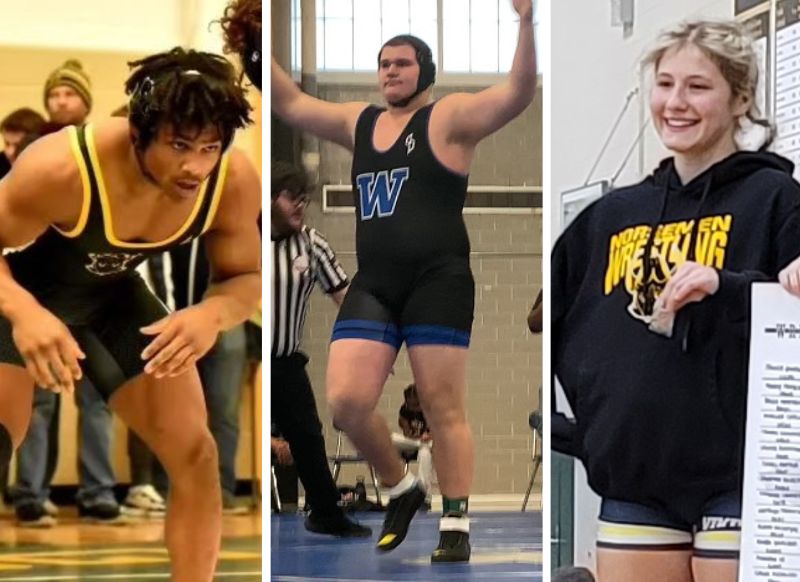 A trio of wrestlers qualify for the MHSAA State Finals at Ford Field ...