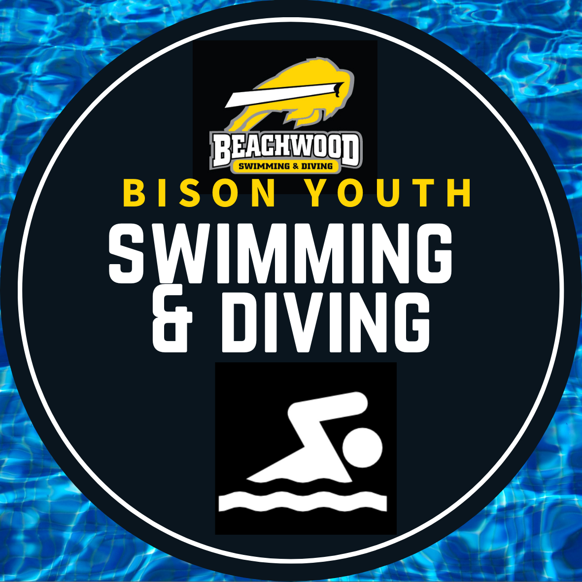 Bison Youth Swimming & Diving | Youth Sports Details