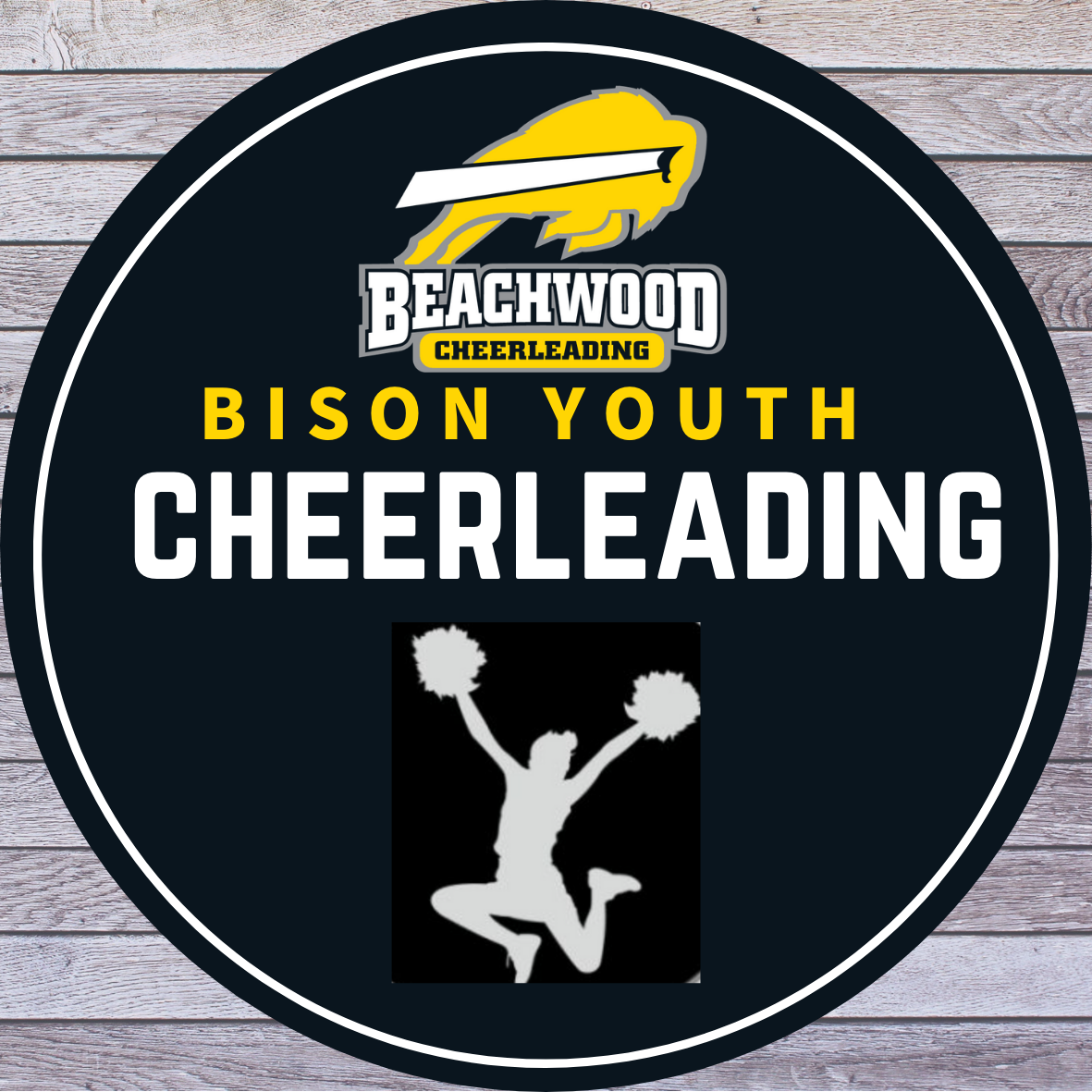 Bison Youth Cheerleading | Youth Sports Details