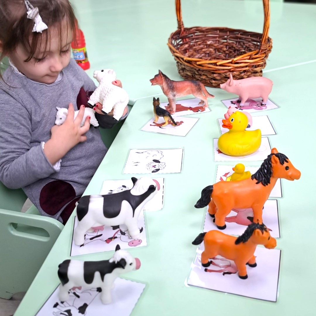 2YO: Tell us More About Animals | Default Board Post Page - Tirana ...