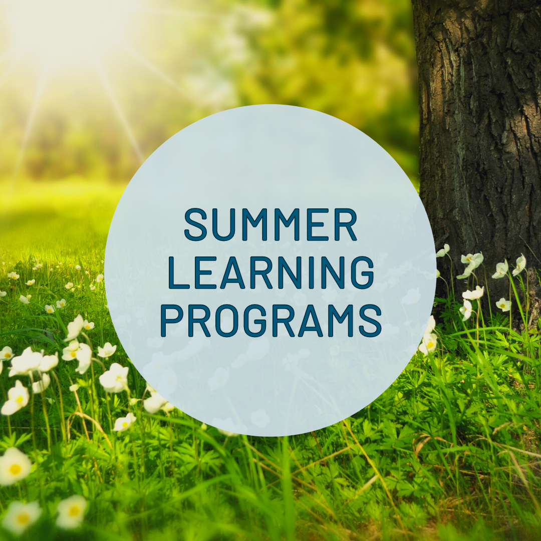 2024 Community Education Summer Learning Programs | News Details