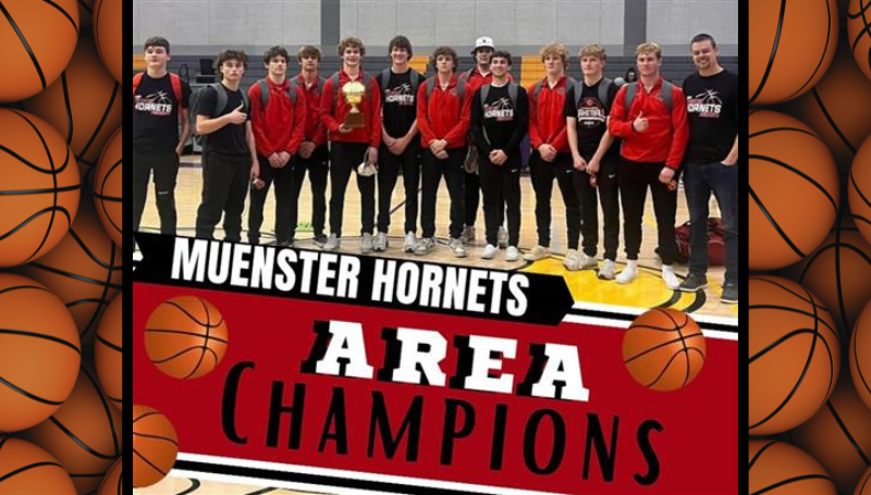 Congratulations Hornets - Area Champs! | Post Details