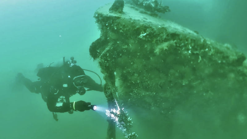 Exploring Ecosystems Takes Reynolds Into Alaska’s Depths | Post Page