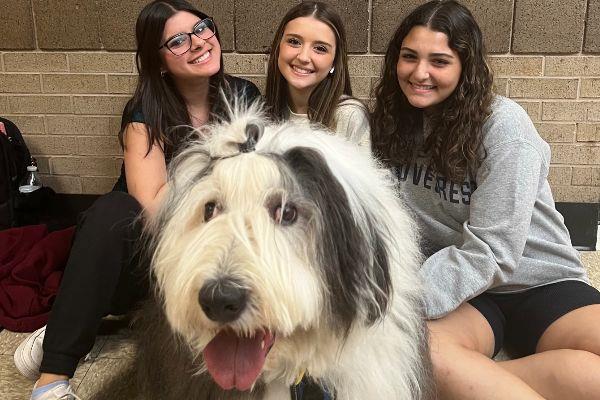 Therapy Dog Brings Smiles to Chattahoochee High School | Details