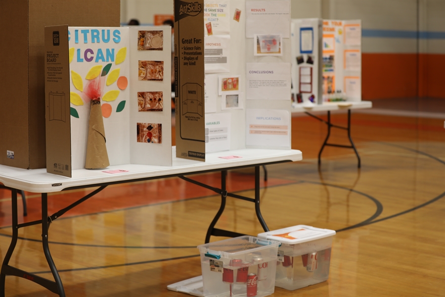 District Elementary Students Shined At This Year’s District Science ...