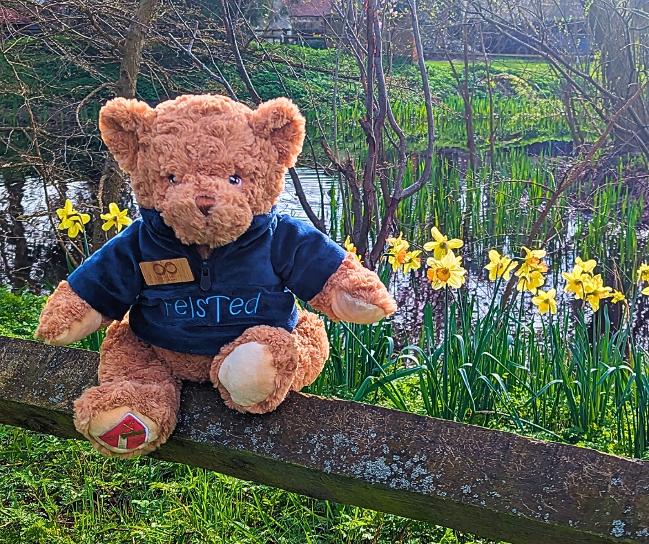 Prep Head's Blog: End of Spring Term | Posts Page