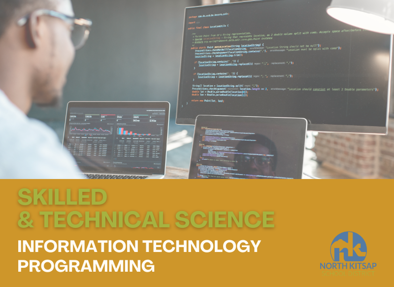 Skilled & Technical Science - Information Technology Programming | Details
