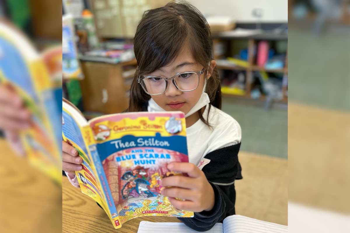 Investigating Inferences | Blog Details