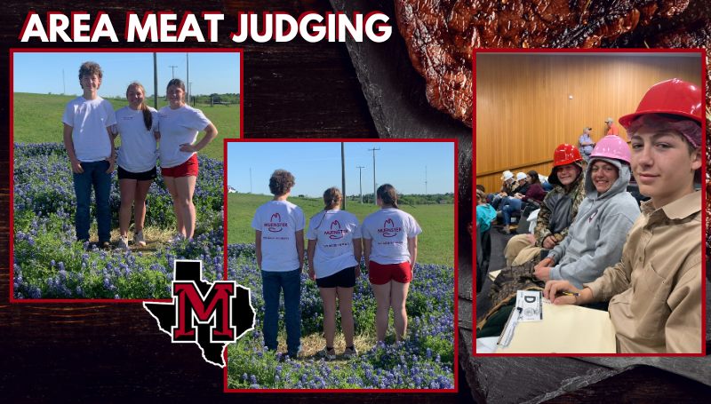 Meat Judging - Area Competition | Post Details