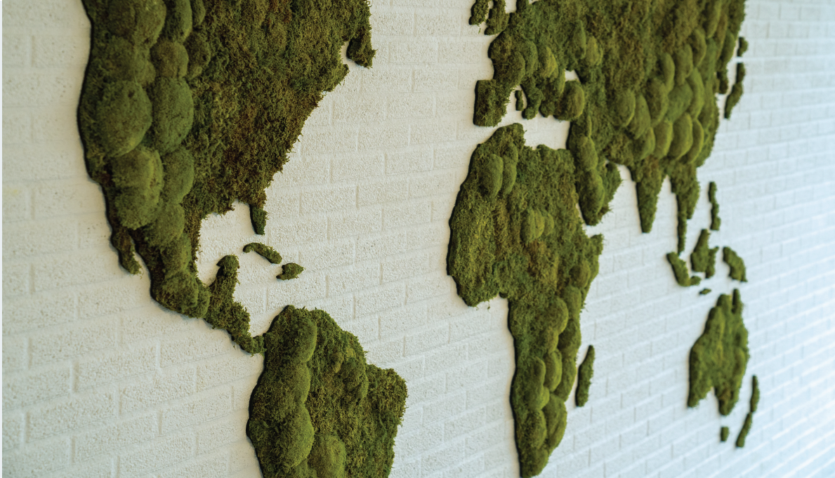 Moss World Map Represents ASH’s Diverse Nationalities | Detail Page ...