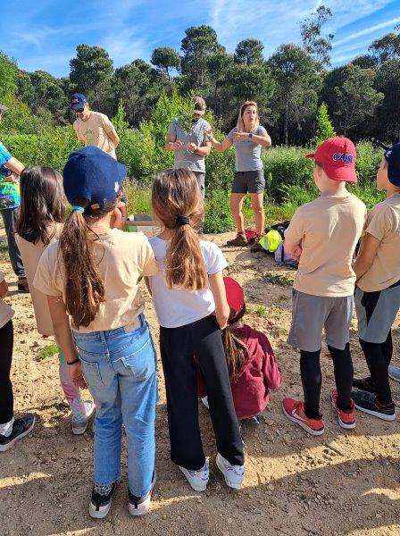 Adopt-a-Forest action | Home page Posts