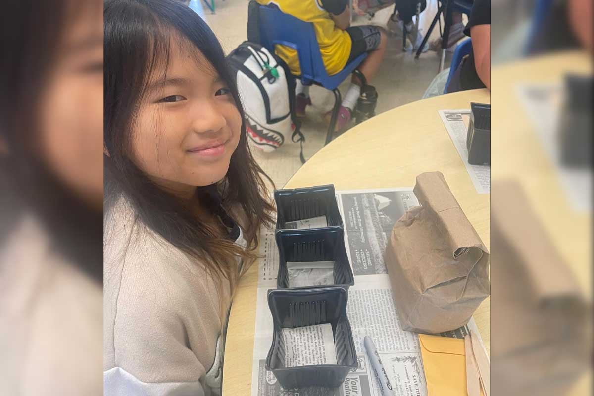 Inquiry: What is the Relationship Between Humans & our Environment ...