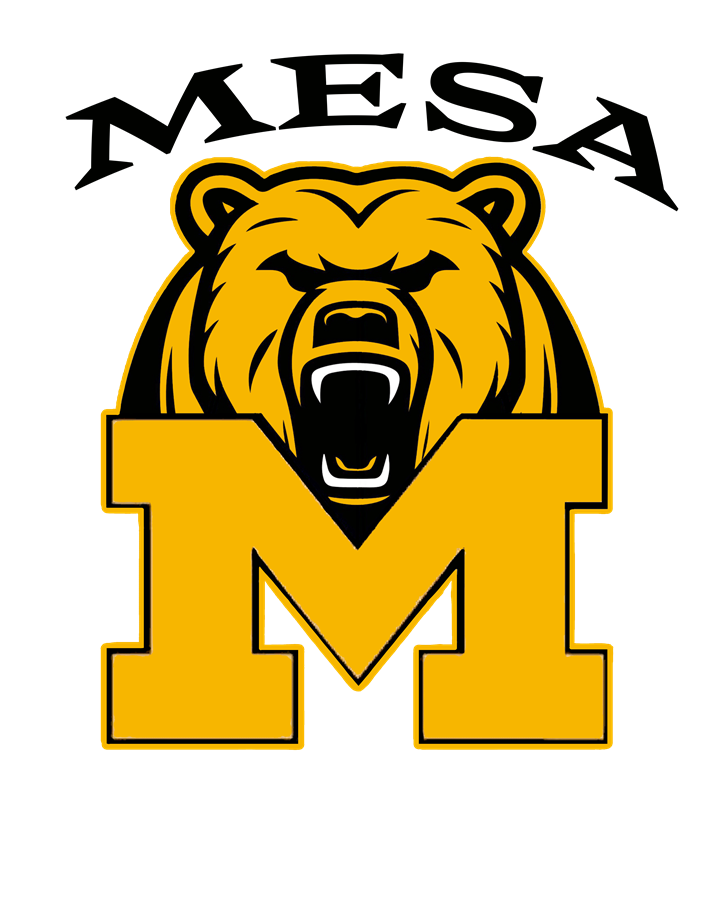 Our School - Mesa Middle School