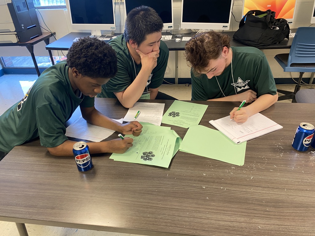 Coding team performs well at Siena | District News Details
