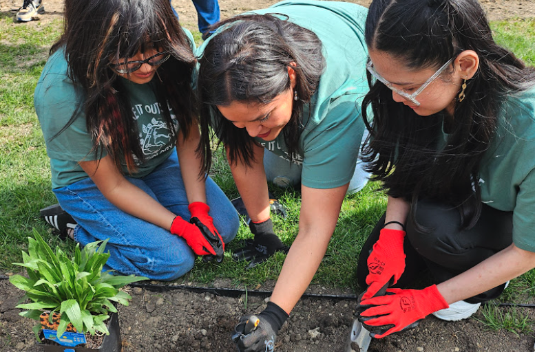 Ecology Club unveils new pocket prairie at West Leyden | News Details