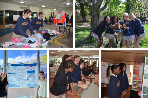 Exploring Science: A Week of Discovery at Merion Mercy Academy | Single ...