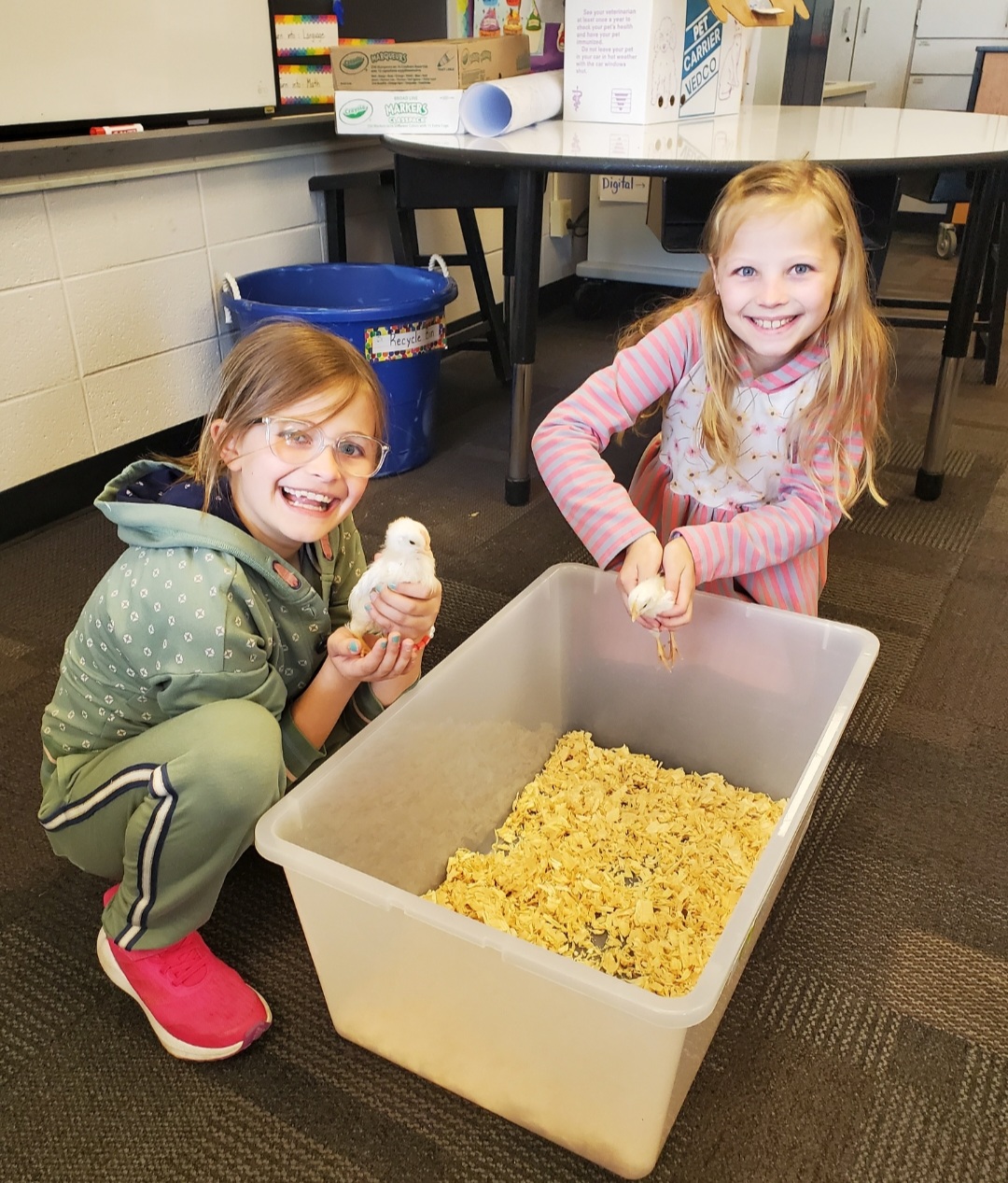 Mintonye Third Graders Learn About Life Cycles | News Post