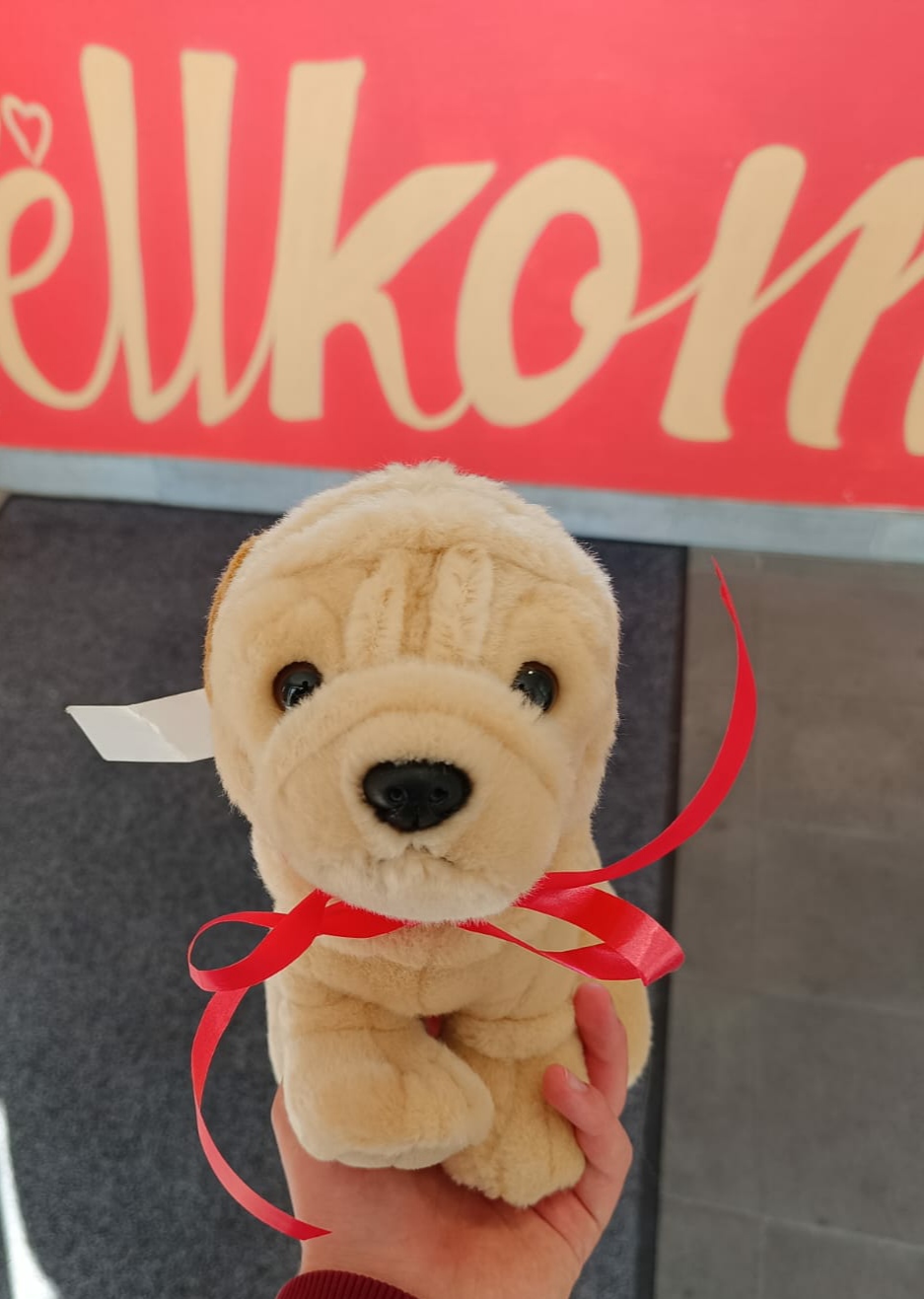 Students donate 165 teddy bears to Red Cross | New Stories