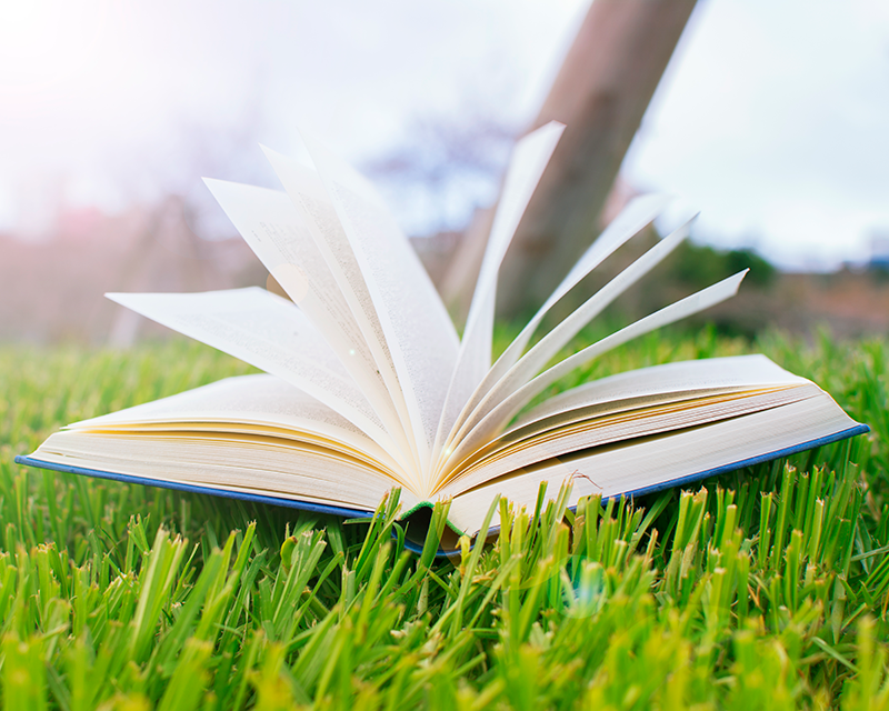 D65 Summer Reading Lists | Post Details