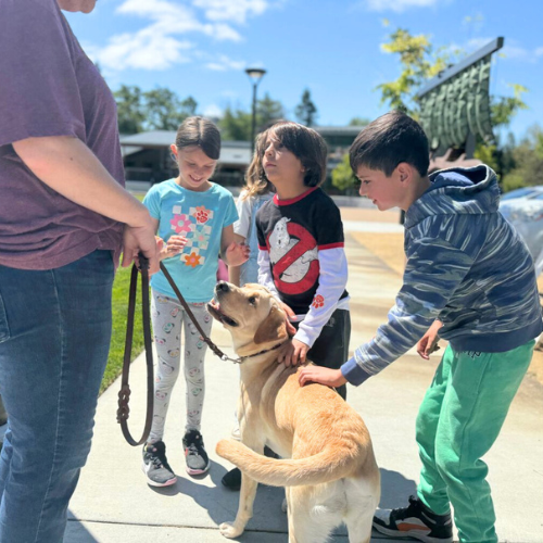 A Visit to Guide Dogs | Spotlight Stories Details