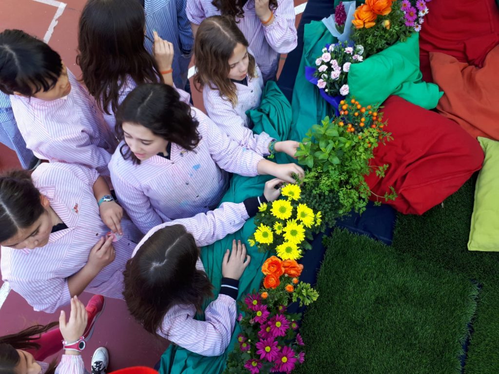 Educamos en la participación social y la solidaridad | News APM