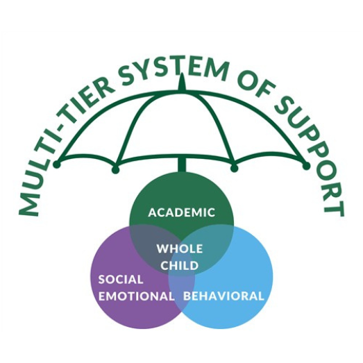 MTSS: How Classrooms Respond to the Needs of All Students | Article