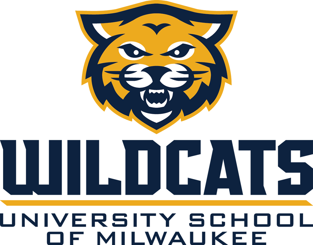 Cross Country Runners Named to All-state Teams | USM News