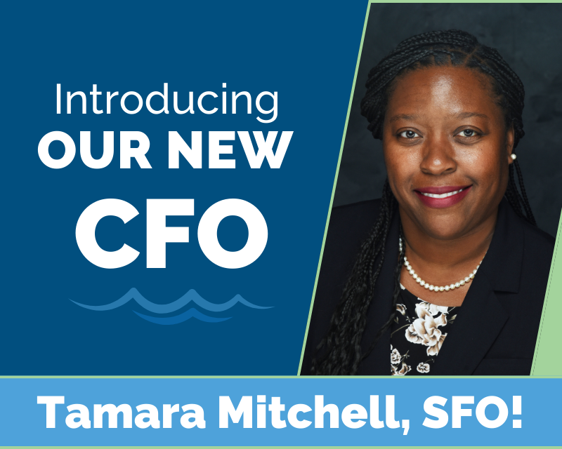 Welcoming our new CFO, Tamara Mitchell! | Post Details
