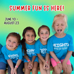 Summer Fun is Here! | Blog Details