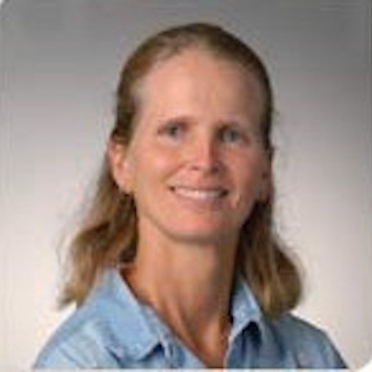 Nina Fout | Posts Details