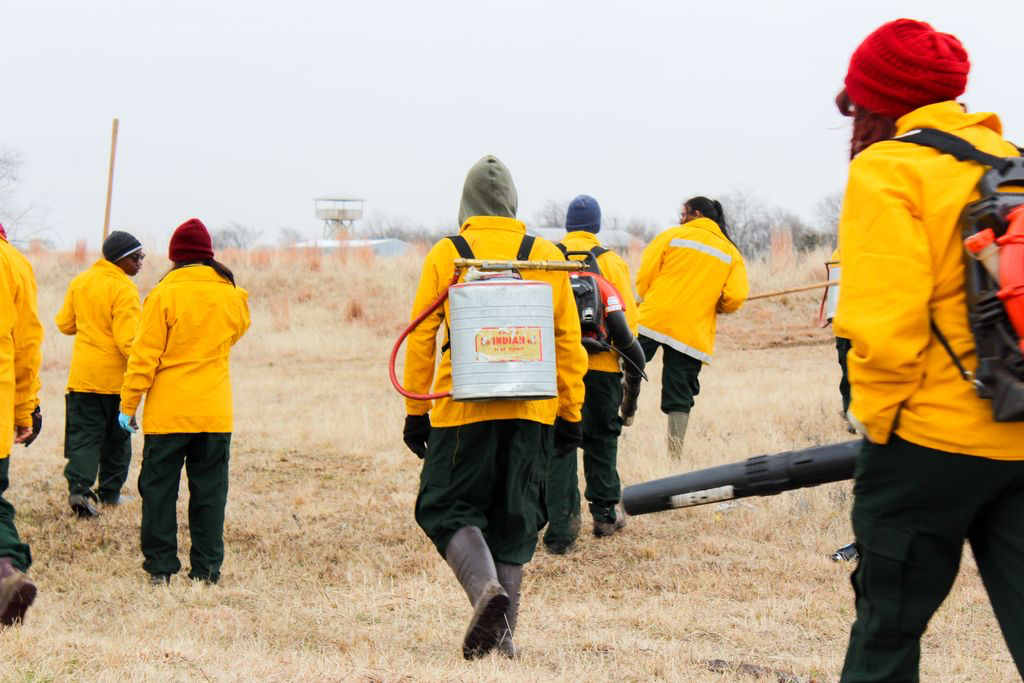Sneed Prairie Restoration | Details