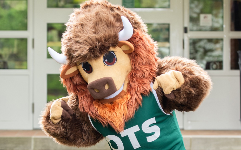 A New Era (And Look) for Otis the Buffalo | Details - Old Trail School