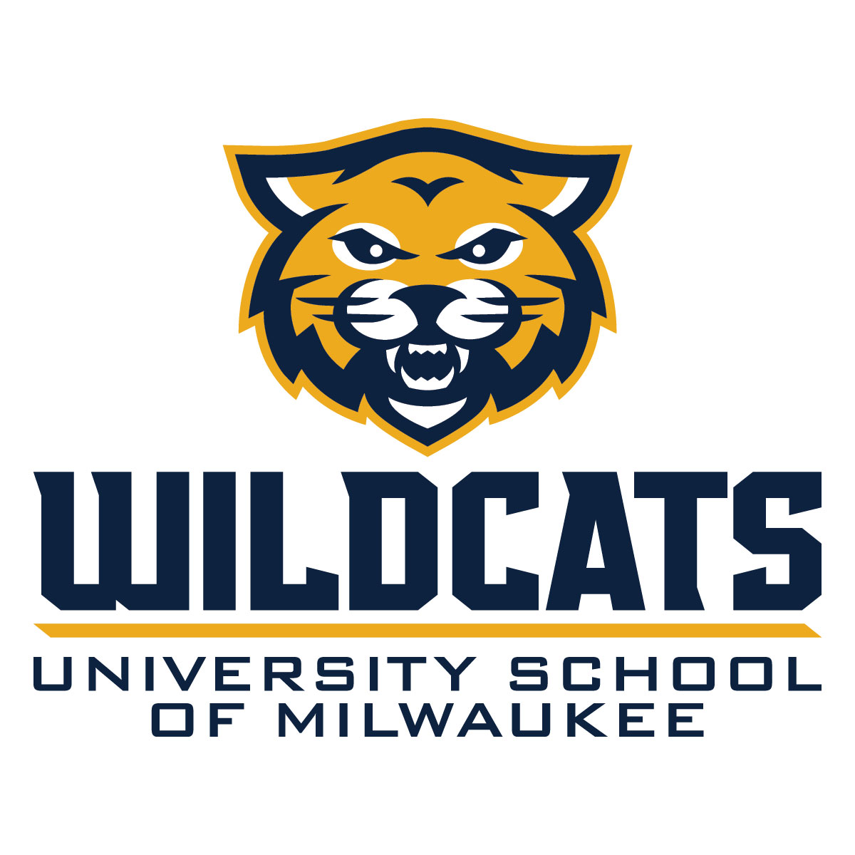 New Look for USM Athletics | USM Today