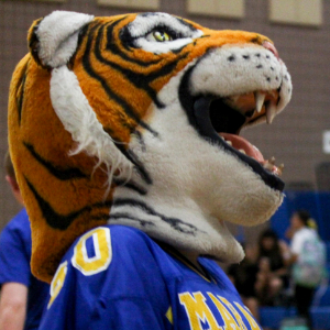 MHS Summer Tiger Days Sign-Up | MHS News Details