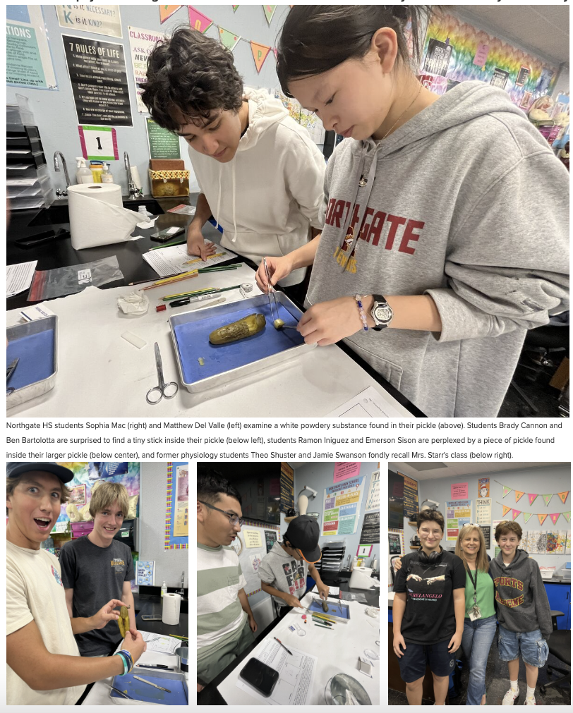 "Pickle autopsy" at Northgate HS turns students into coroners as they ...